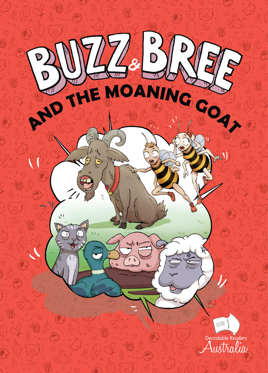 Buzz and Bree Decodable Chapters Level 5 - Guided Reading Set ...
