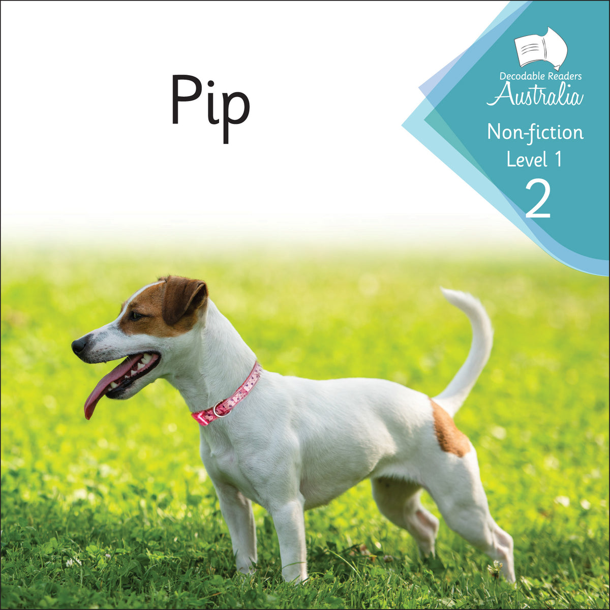 Nonfiction Level 1/2 - Individual Set – Decodable Readers Australia