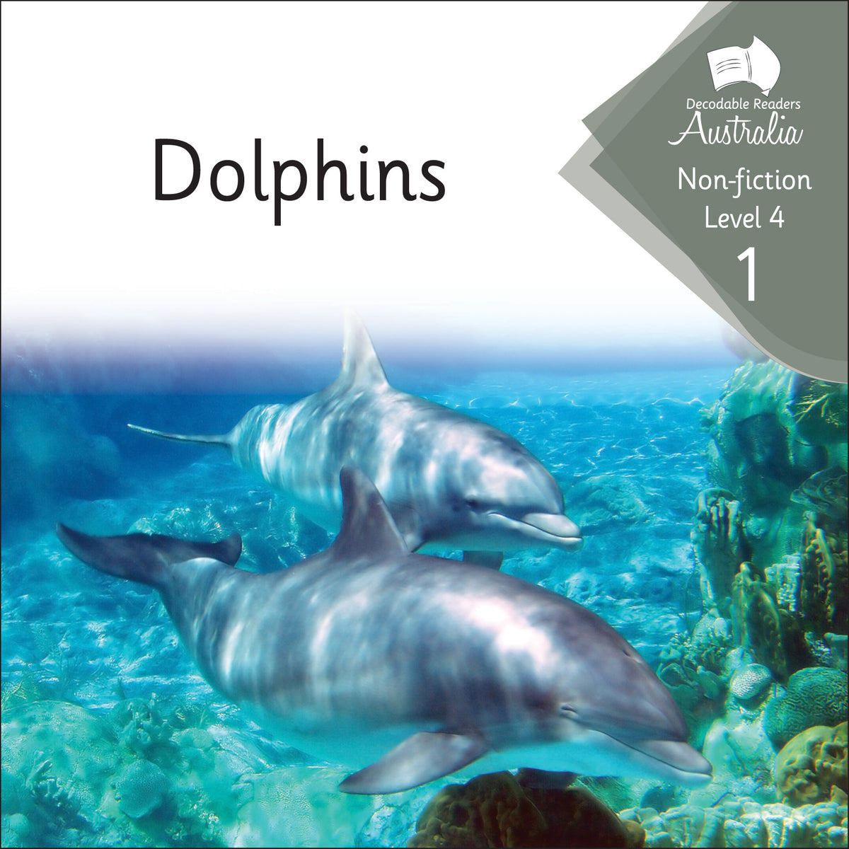 Nonfiction Level 4 - Classroom Guided Reading Set (6 sets) – Decodable ...