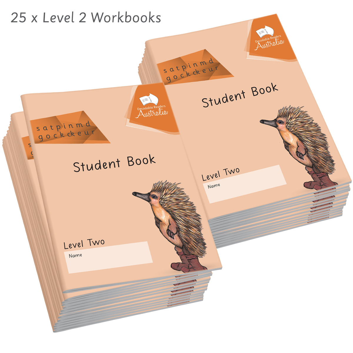 Phonics Workbook Level 2 - Classroom Pack (25) – Decodable Readers ...